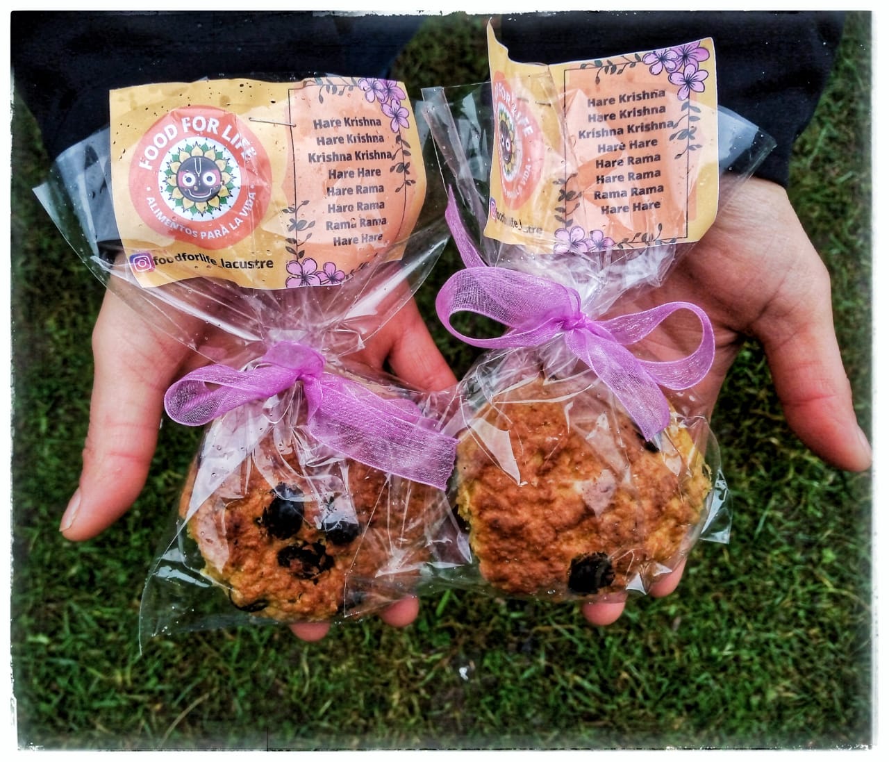 Food For Life en el sur de Chile – iskcon